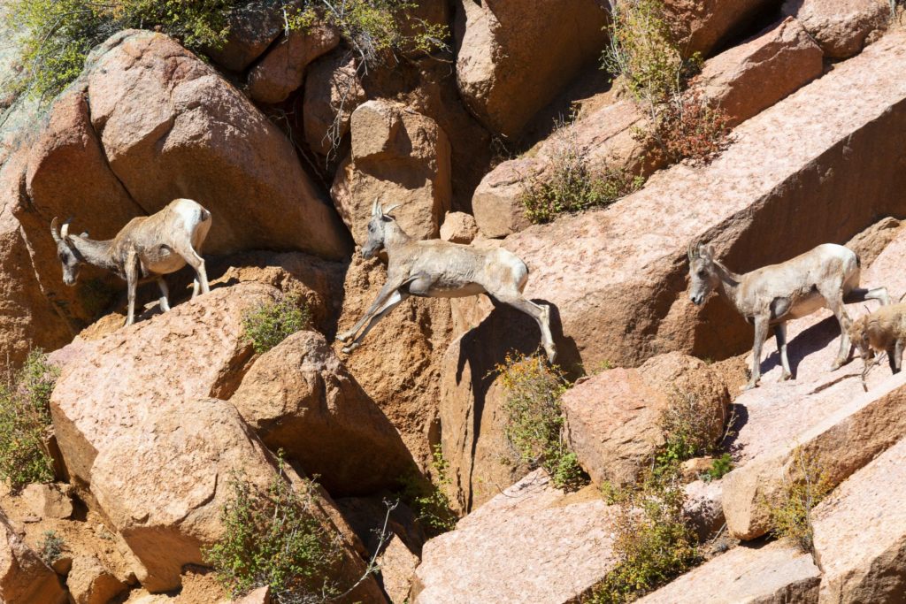 Sheep Springs Ranch is Just the Right Size and Location for A Getaway ...